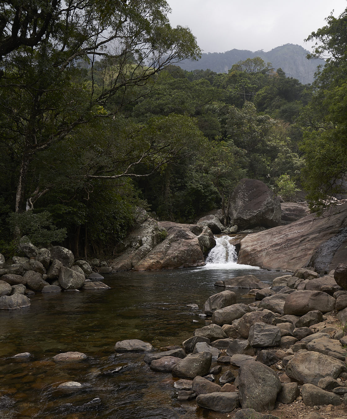 Exploring the Biodiversity of Sri Lanka: A Journey Through Diverse ...