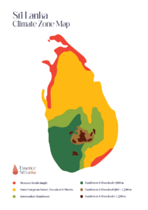 Exploring the Biodiversity of Sri Lanka: A Journey Through Diverse ...